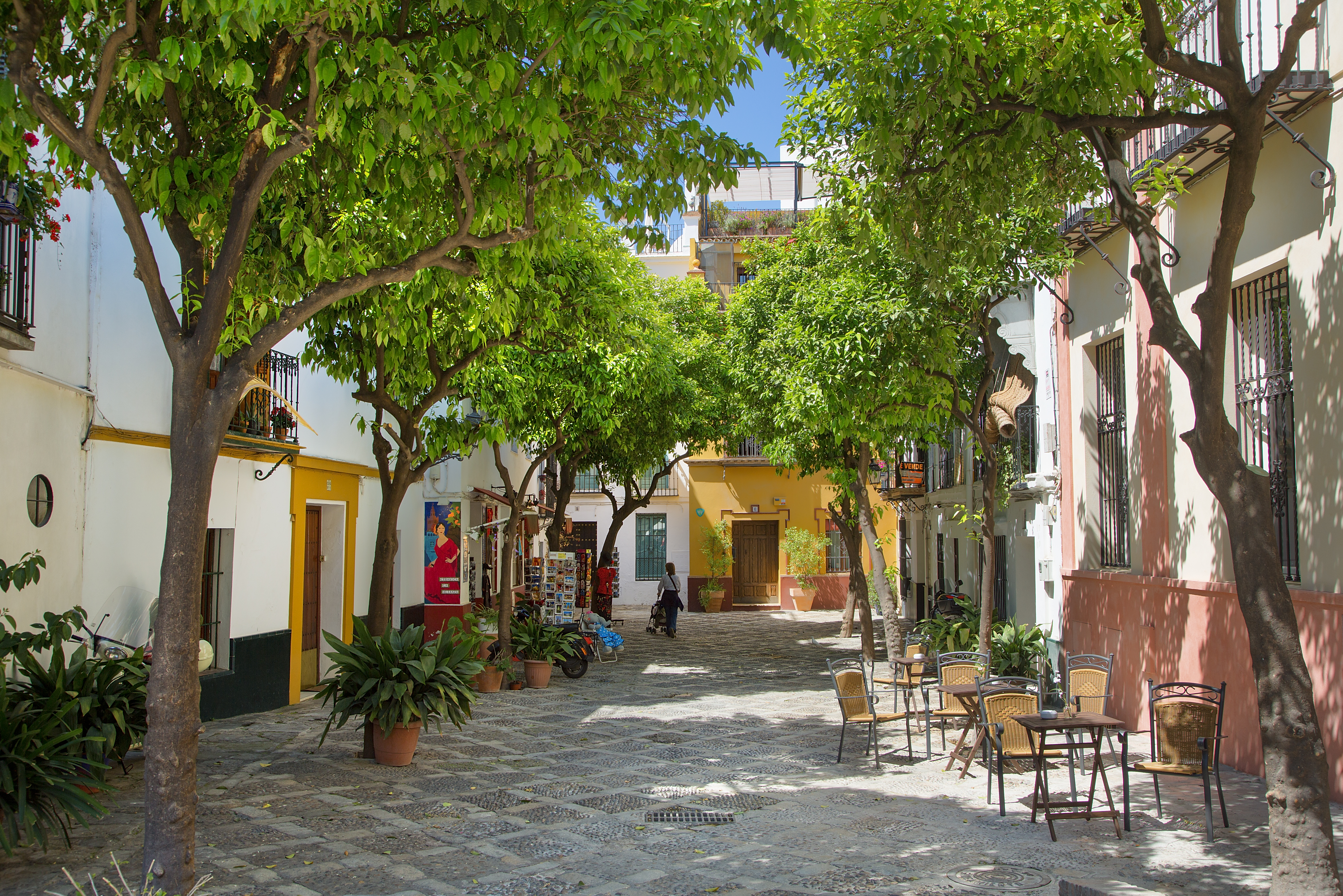 Seville’s Old Town: A Journey Through History | Limitless