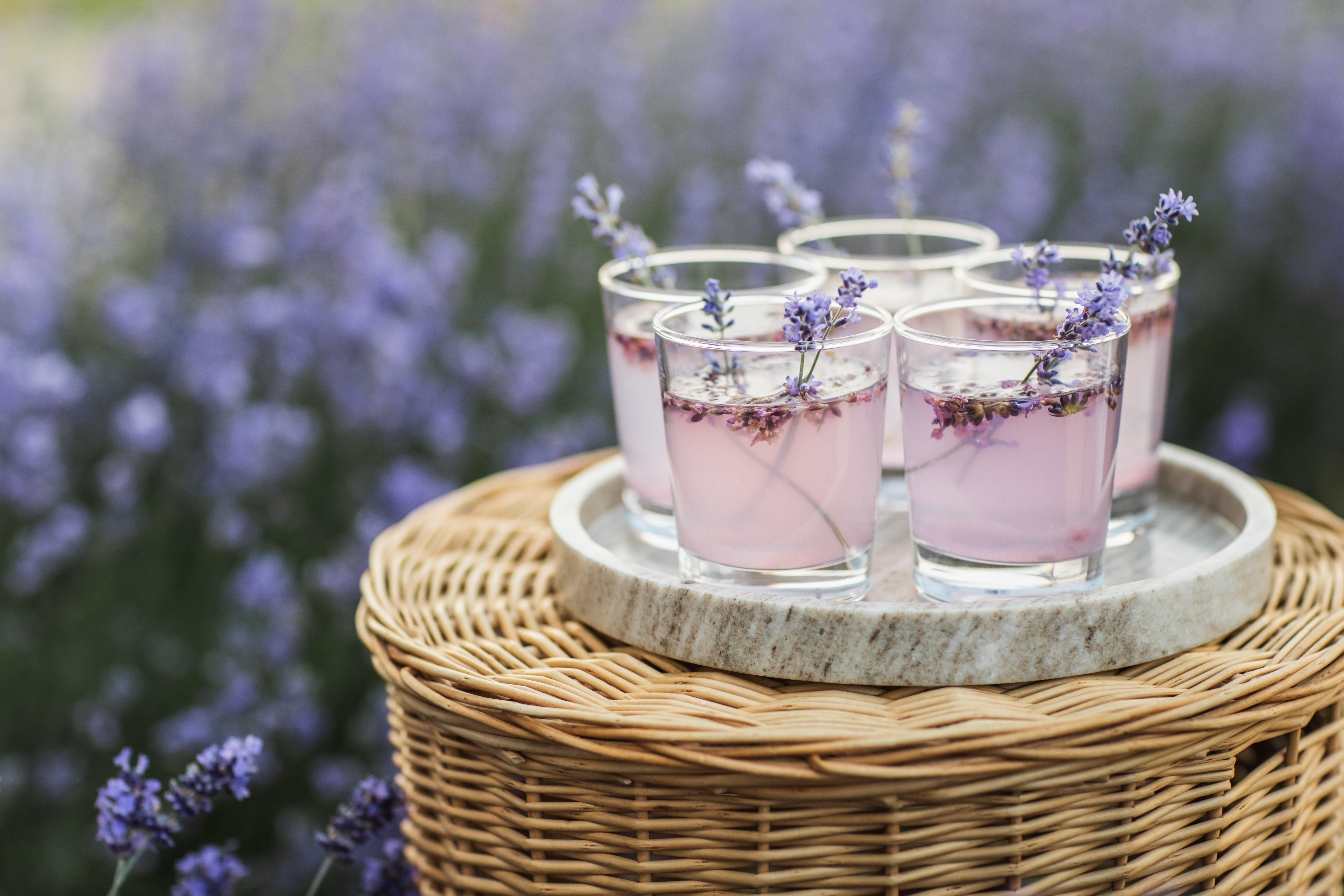 6 délicieuses recettes de cocktails sans alcool | Limitless